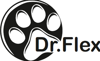 Altes SIA (Dr. Flex)